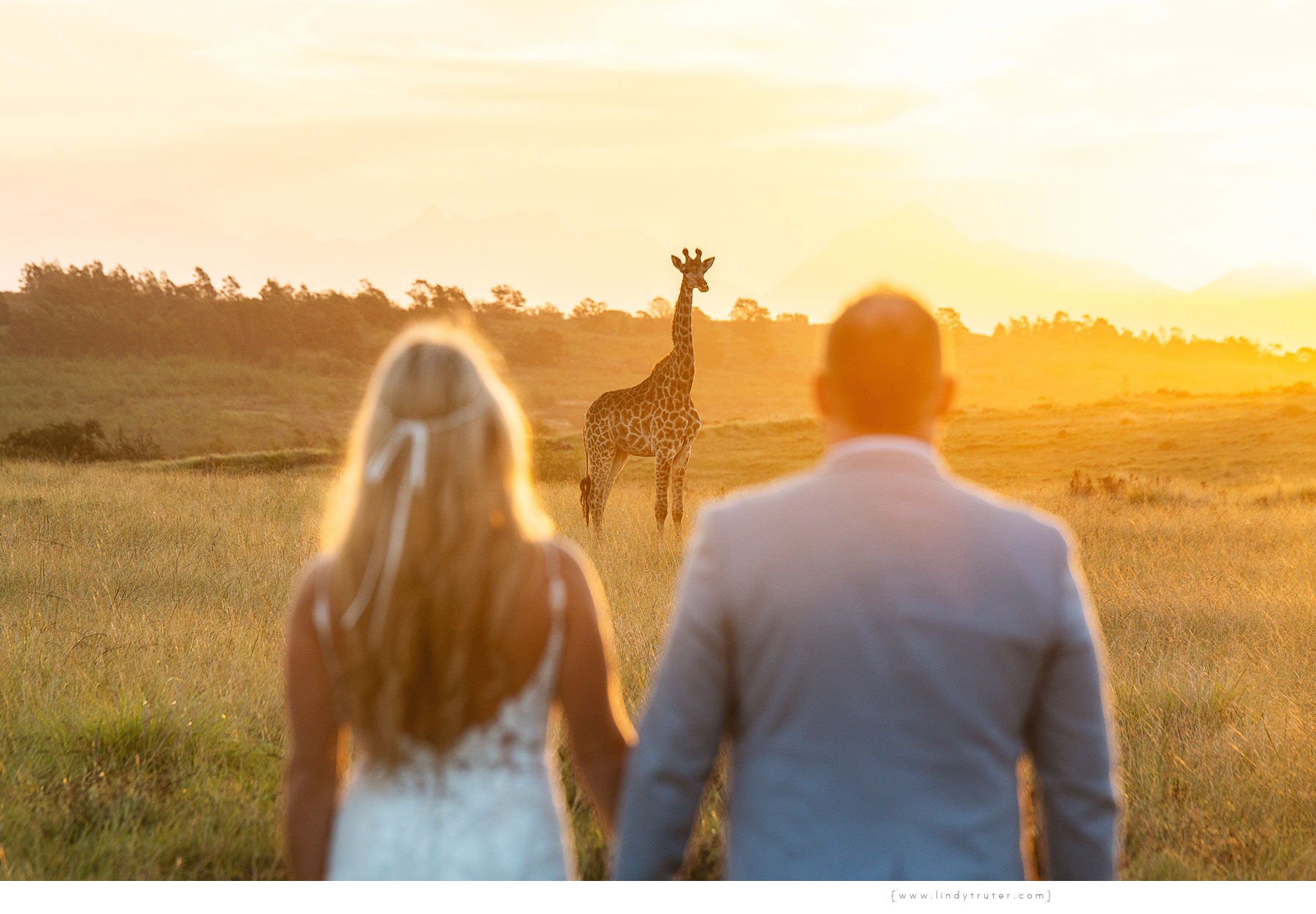 Peter + Jess - Lindy Truter